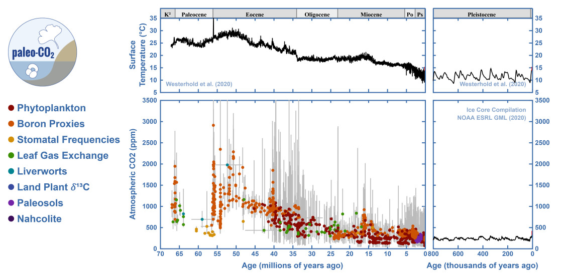 Megkövült levelek mutatnak rá arra, milyen szélsőségek alakíthatják ...