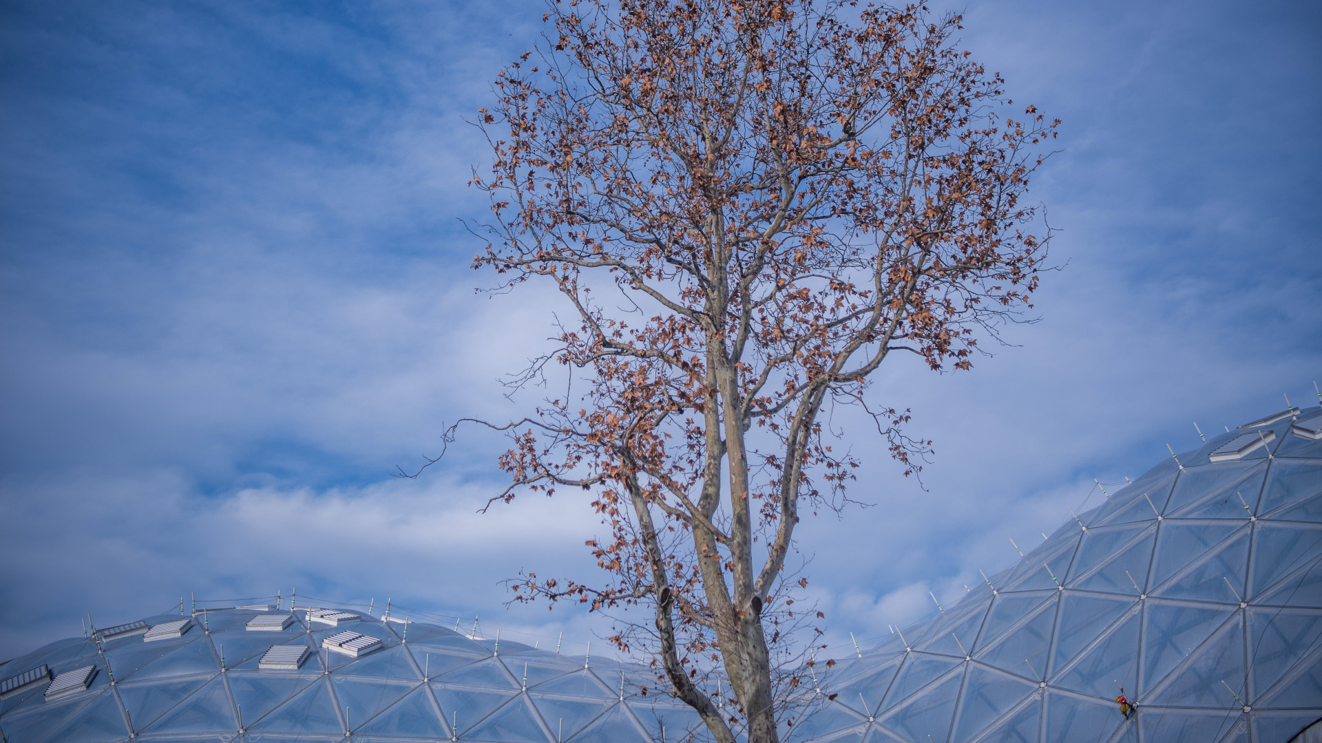 Tető alatt a Biodóm - Végéhez közeledik az állatkert legújabb ...