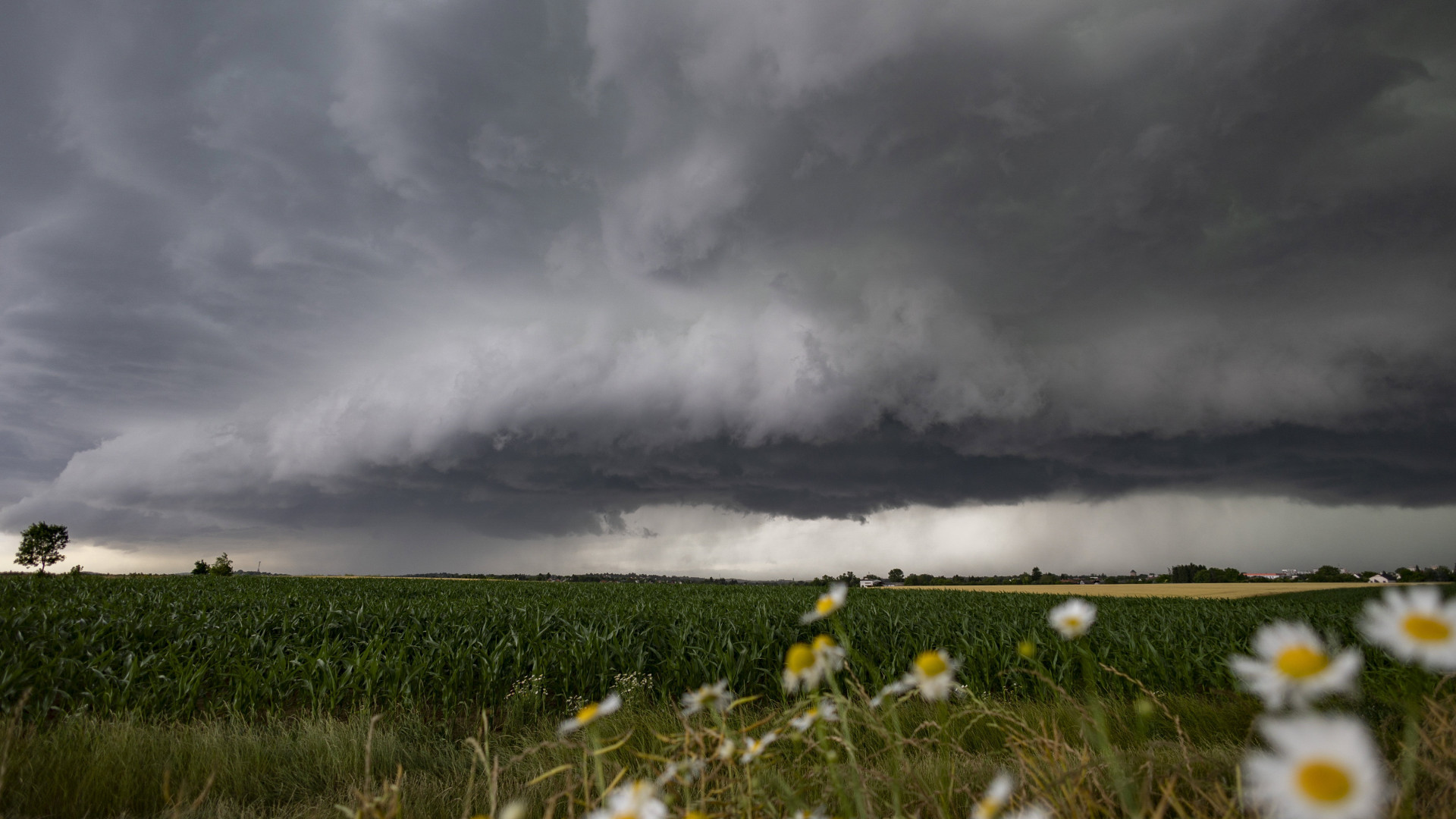Vihar: országszerte fennakadások vannak a vasúti közlekedésben ...
